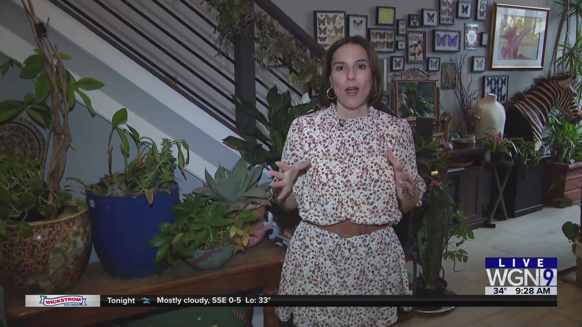 Around Town – The Insect Asylum – WGN-TV