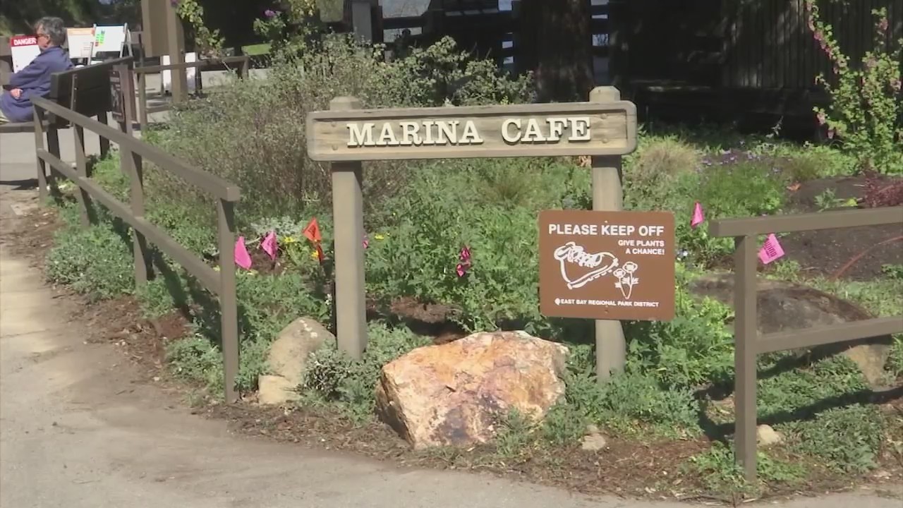 East Bay park officials warn of uptick in blue-green algae bloom – KRON4