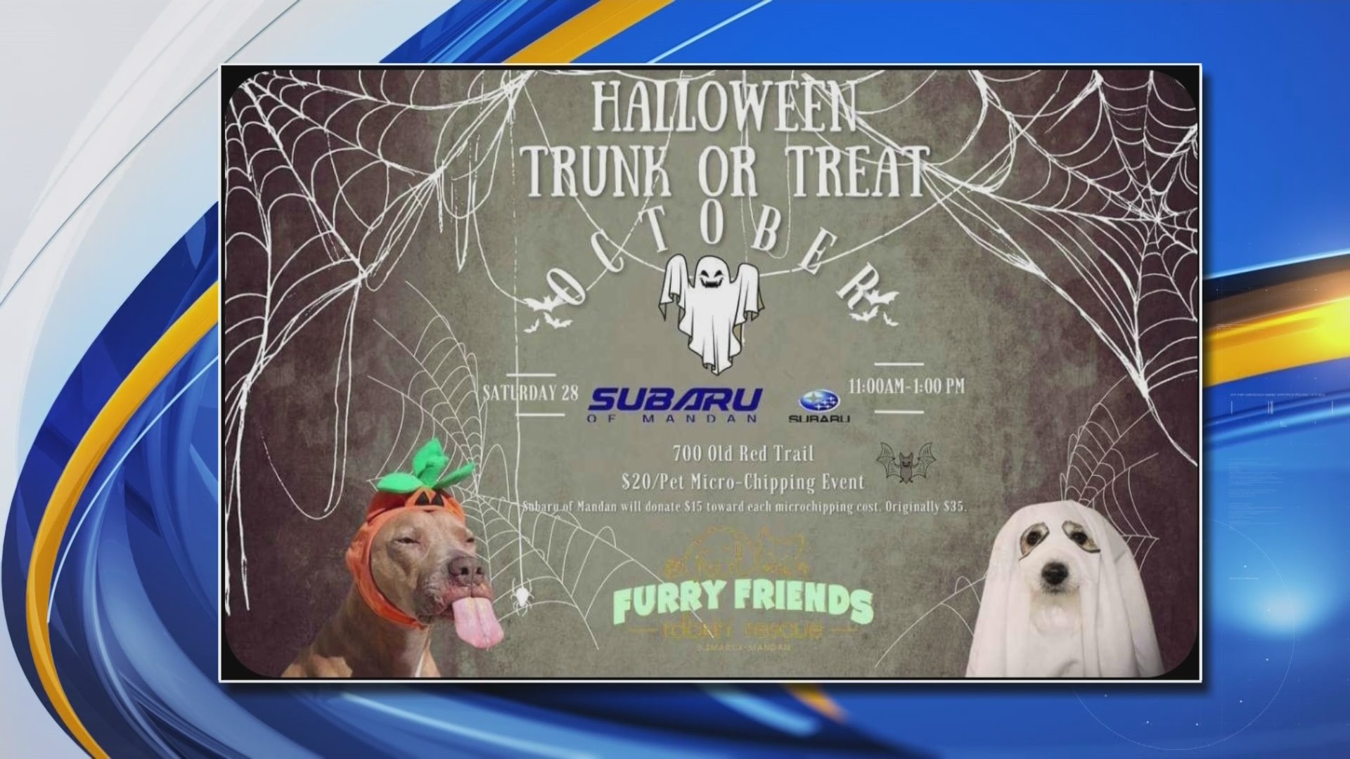 FURRY FRIDAY: Meet Titan and Packer – KX NEWS