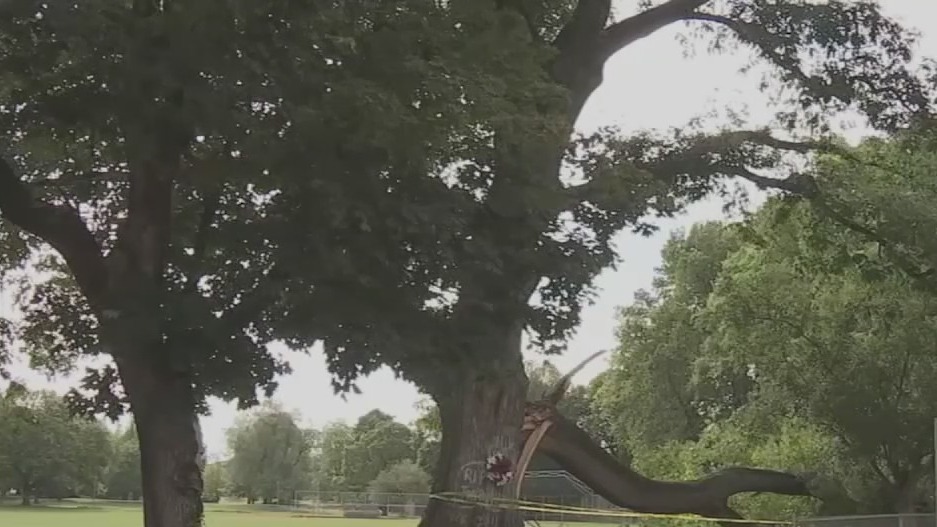 Trees exploding due to excessive heat – FOX40 News
