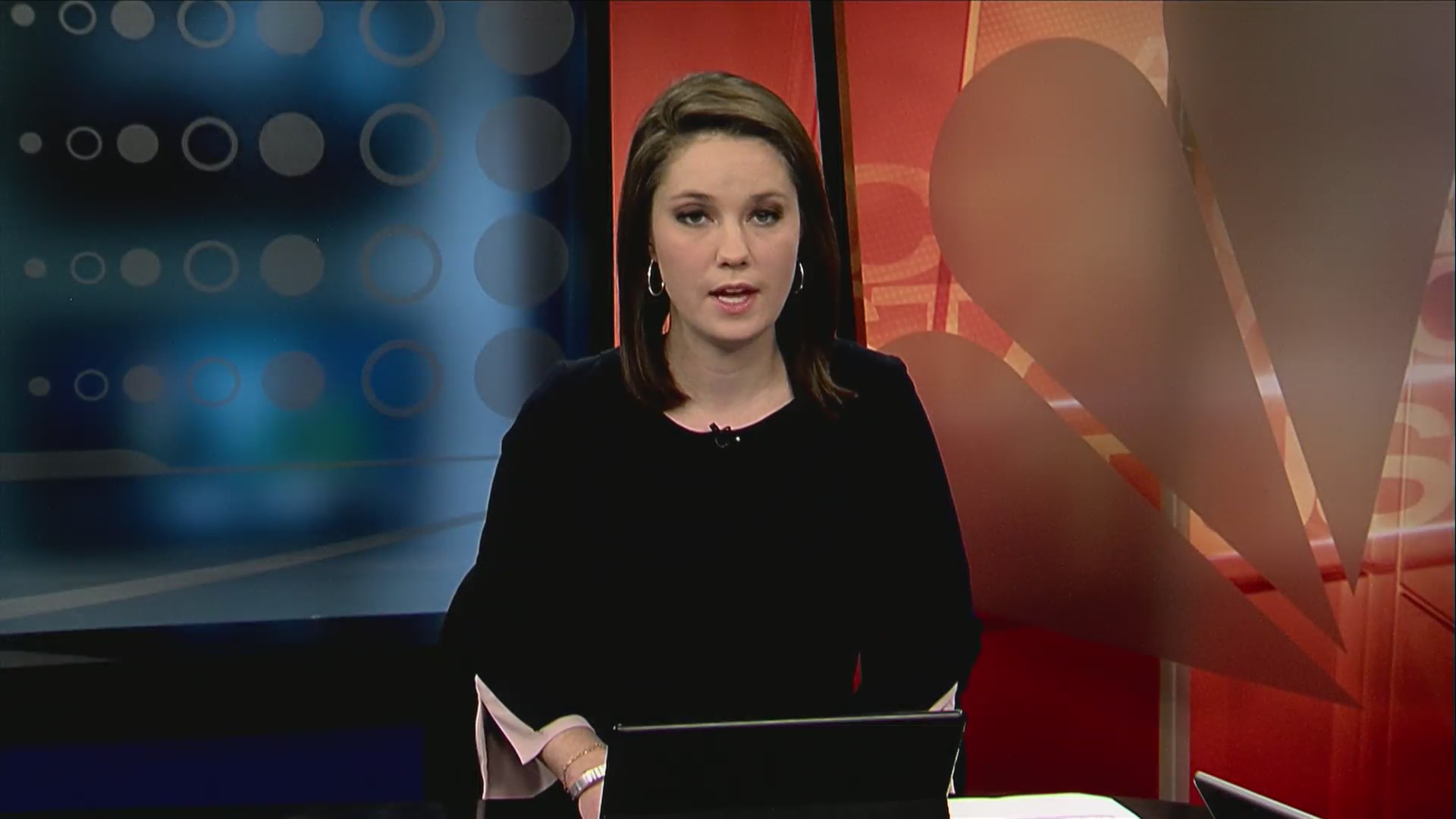 Fort Worth lions head home as the Abilene Zoo welcomes Uhuru the black ...