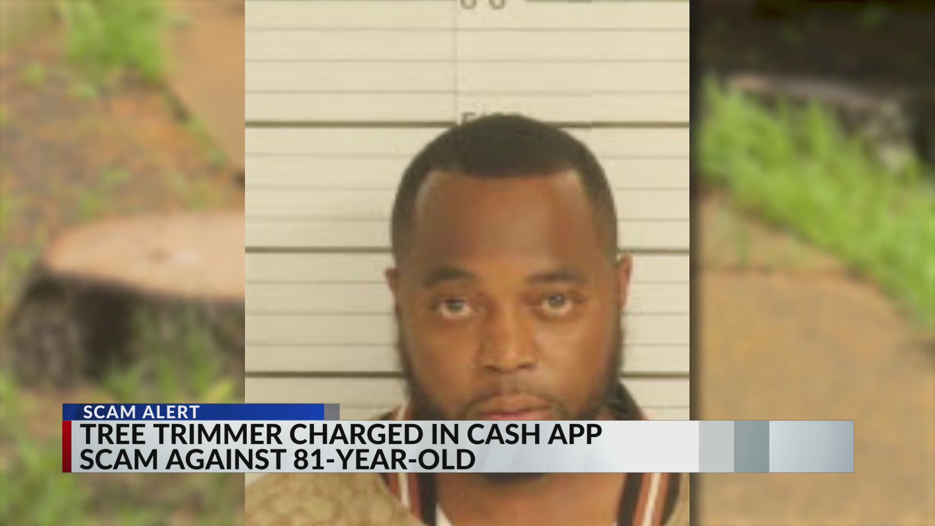 Tree trimmer charged in Cash App scam against 81-year-old – WREG.com