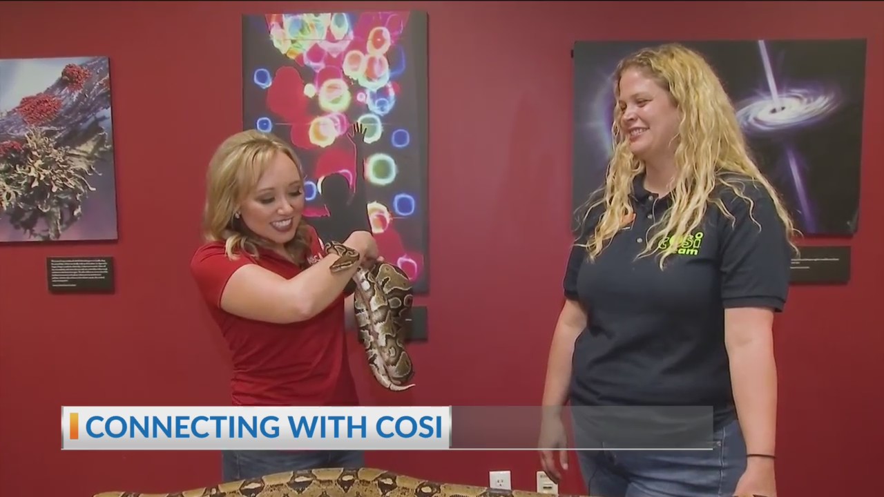 Storm Team 4’s Liz McGiffin: Connecting with COSI on Nov. 13 – NBC4 WCMH-TV