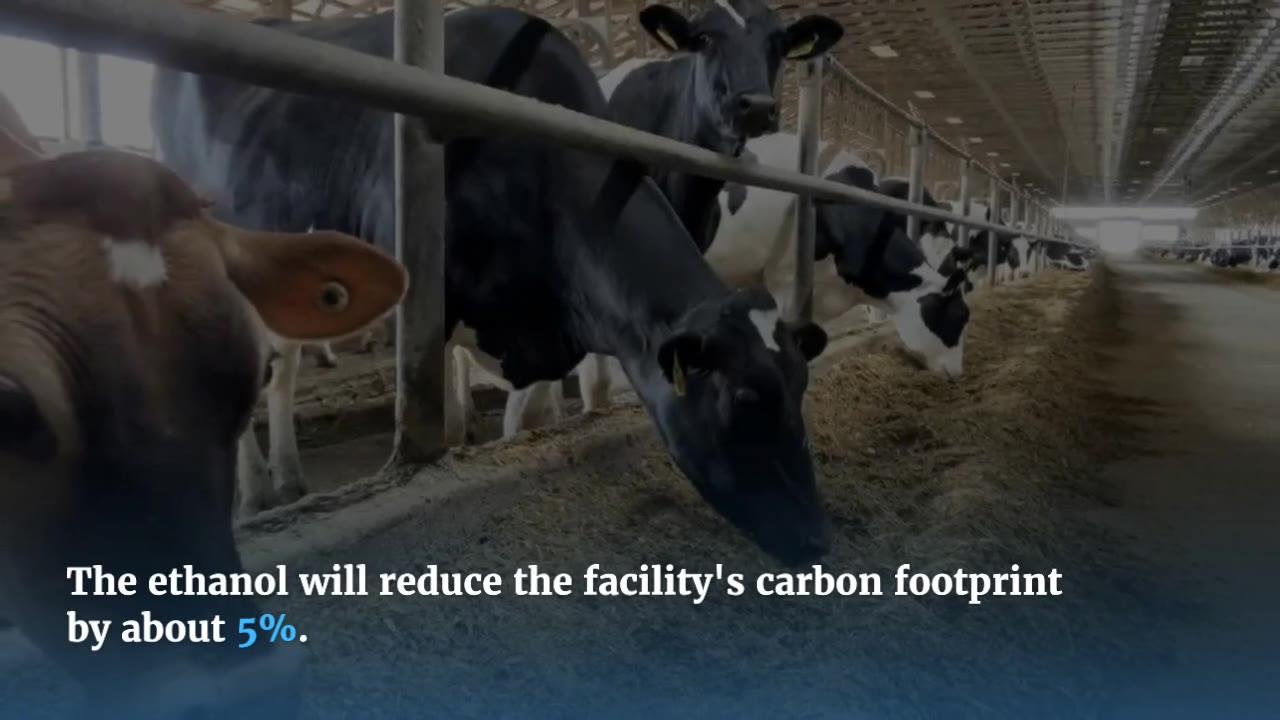 Dairy vodka company to make ethanol at Constantine expansion – WOODTV.com