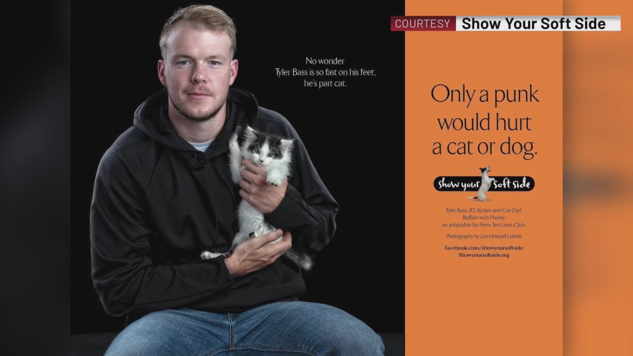 ‘Leave our friend alone’: Thousands donate to Ten Lives Club for Bills ...