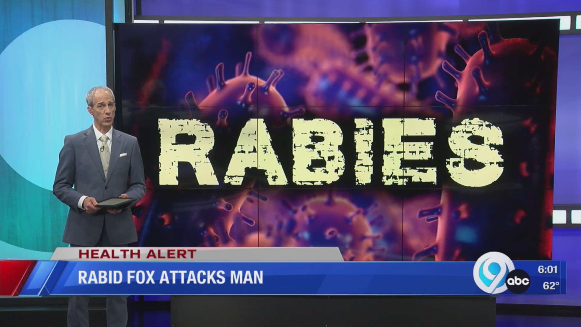 Rabid fox attacks man in Syracuse – WSYR