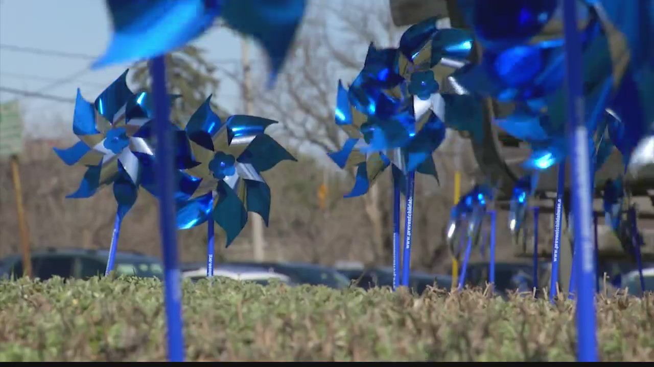 Pinwheel planting for child abuse awareness – NEWS10 ABC