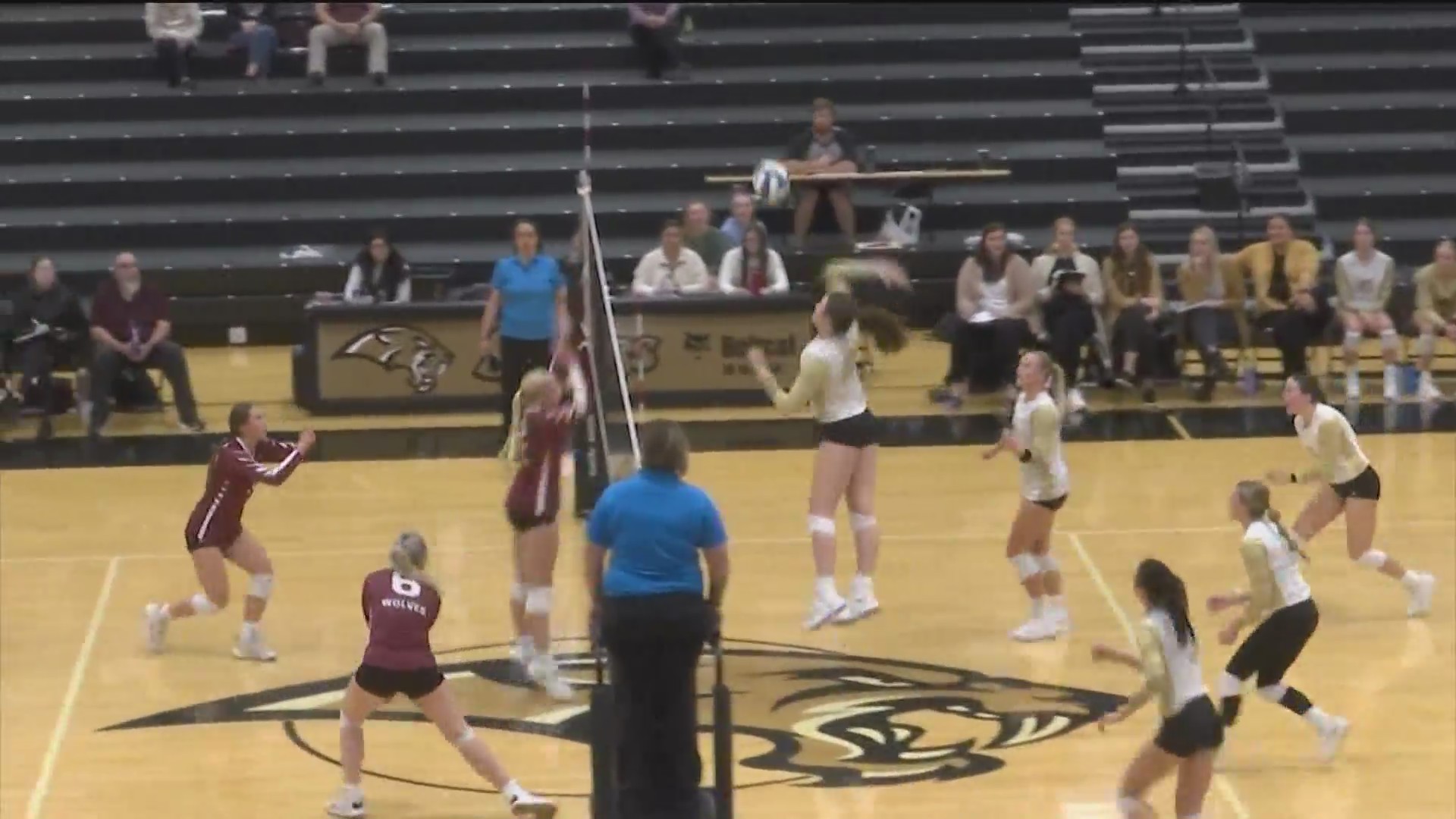 Volleyball: Sabers hitting their stride with wins over ranked foes – KX ...