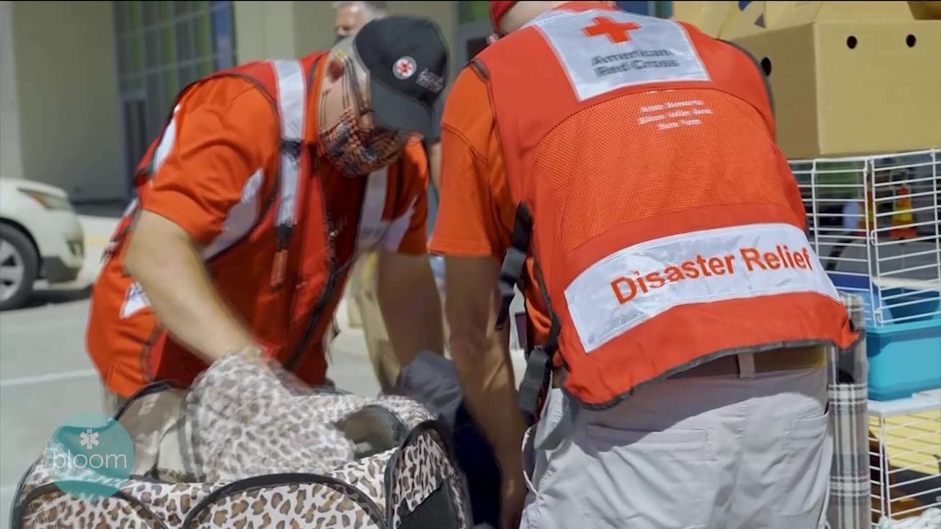 WFLA Partners with American Red Cross: How to help the victims of ...