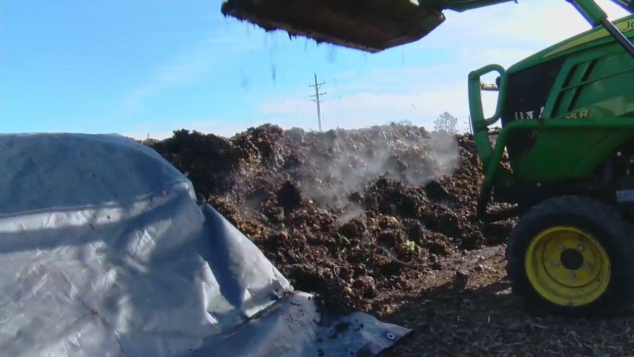 Sustainably Speaking: Local businesses helping divert food from ...