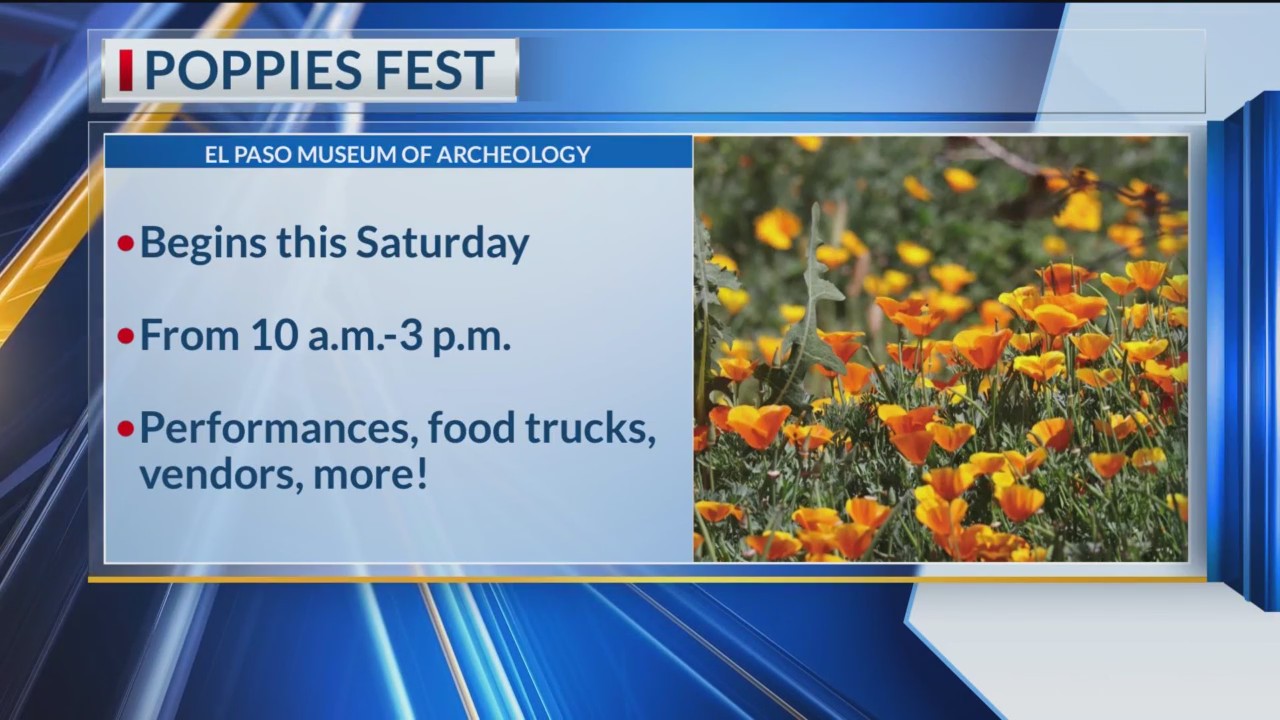 Poppies fest returns to El Paso – KTSM 9 News