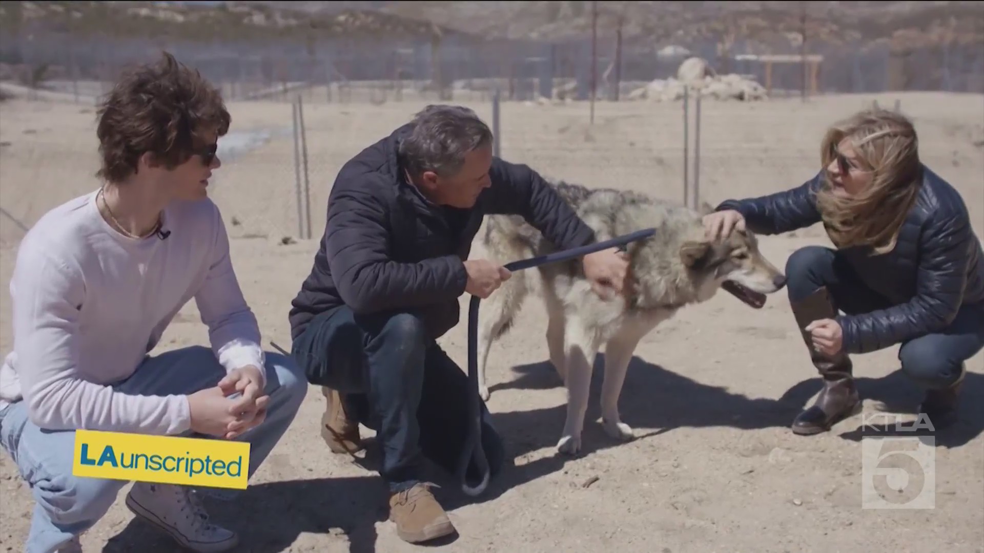 Dayna Devon and the CW’s Tyler Lawrence Gray visit Wolf Connection – KTLA