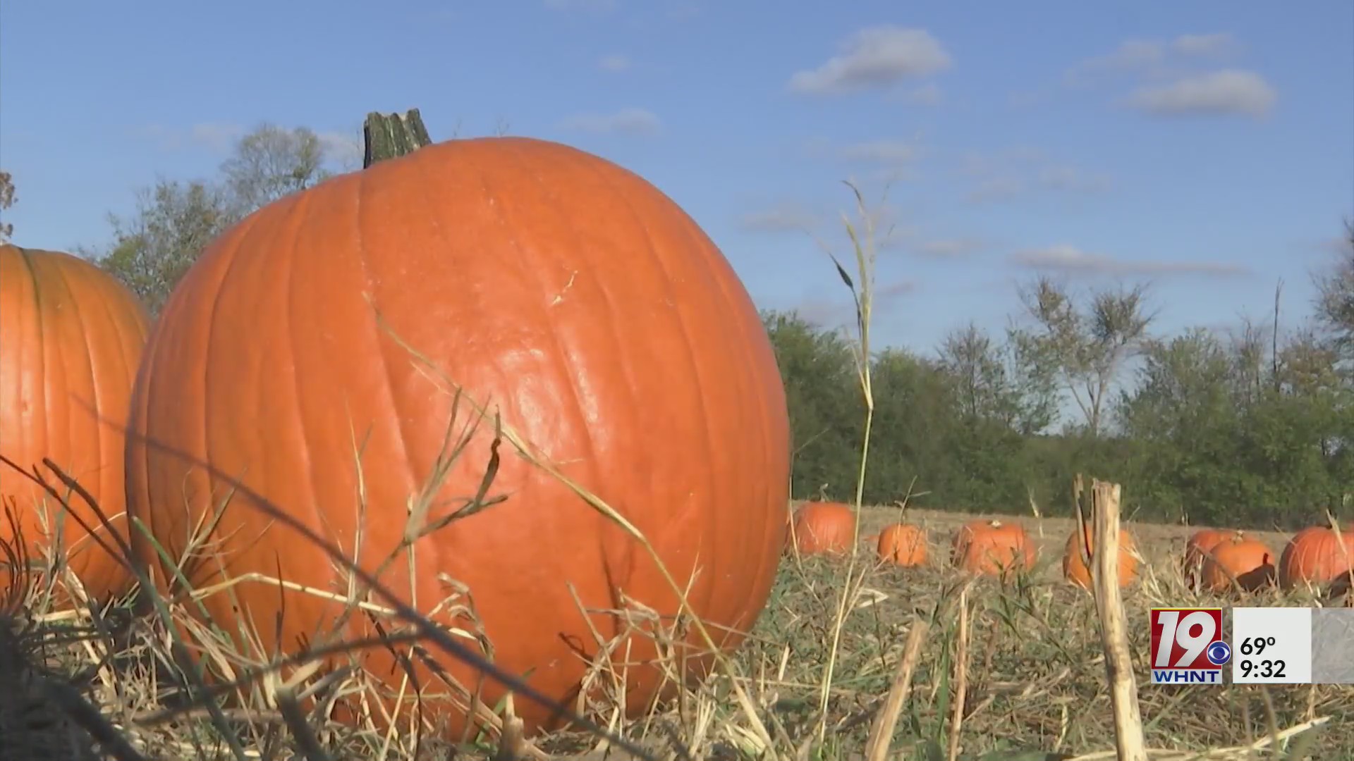 Tate Farms Opens for their 2023 Season | Sept 29, 2023 | News 19 at 9: ...