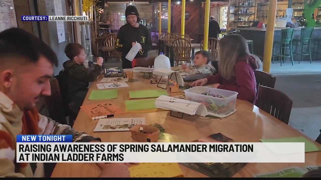 Raising awareness of spring salamander migration at Indian Ladder Farms ...