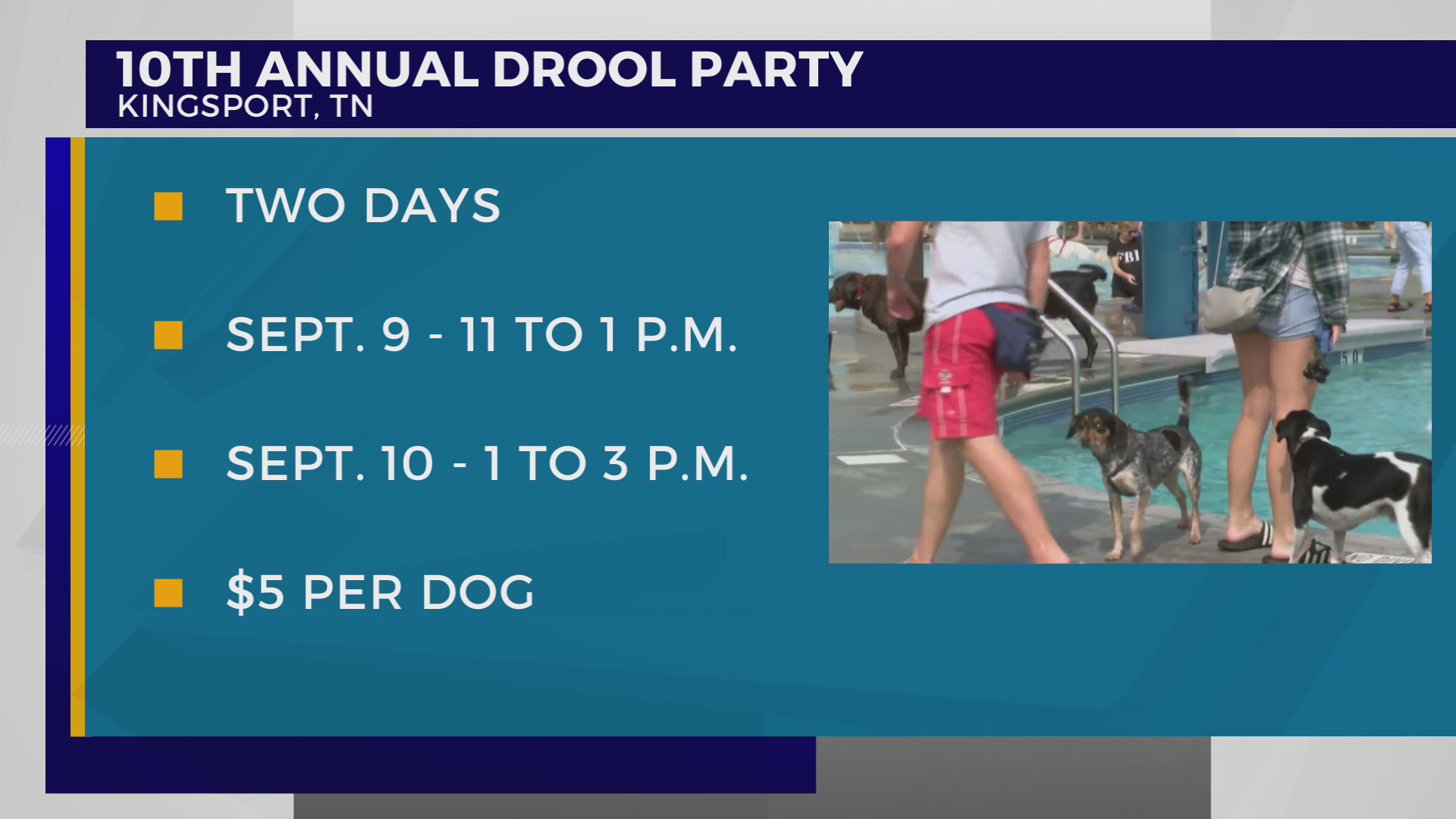 Kingsport Aquatic Center to host new, two-day Drool Party for dogs ...