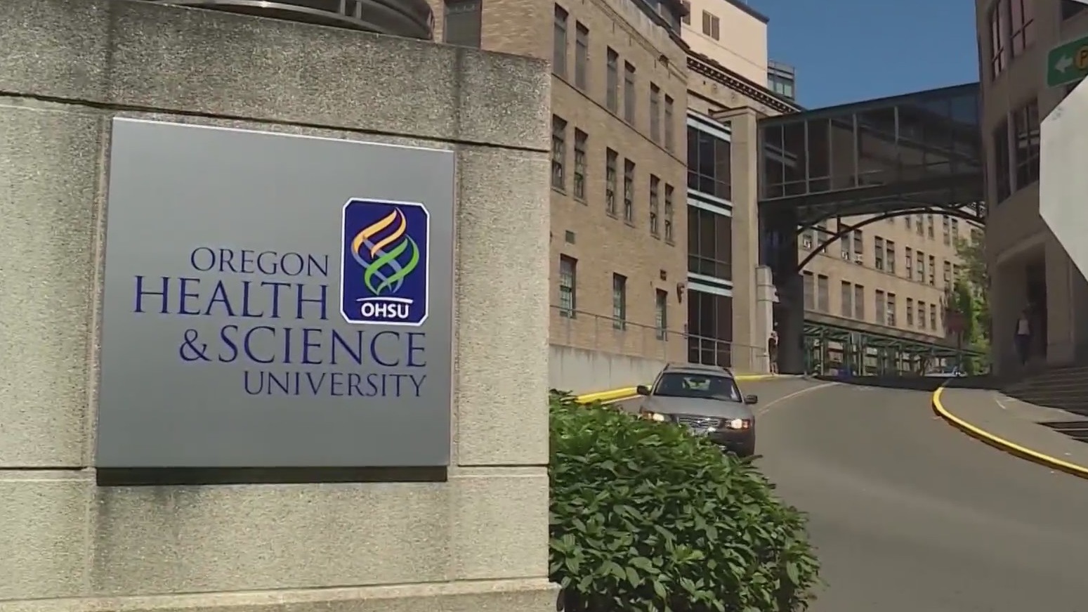 Couple donates $5 million to fund food allergy center at OHSU – KOIN.com