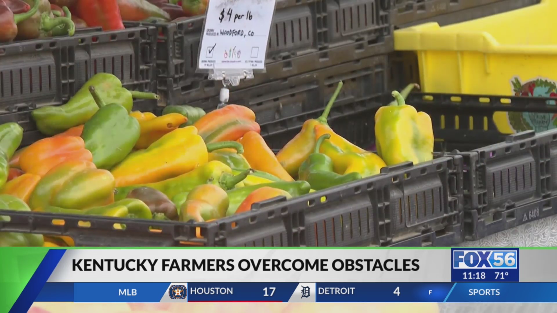 Kentucky farmers: How has extreme weather impacted crops? – FOX 56 News