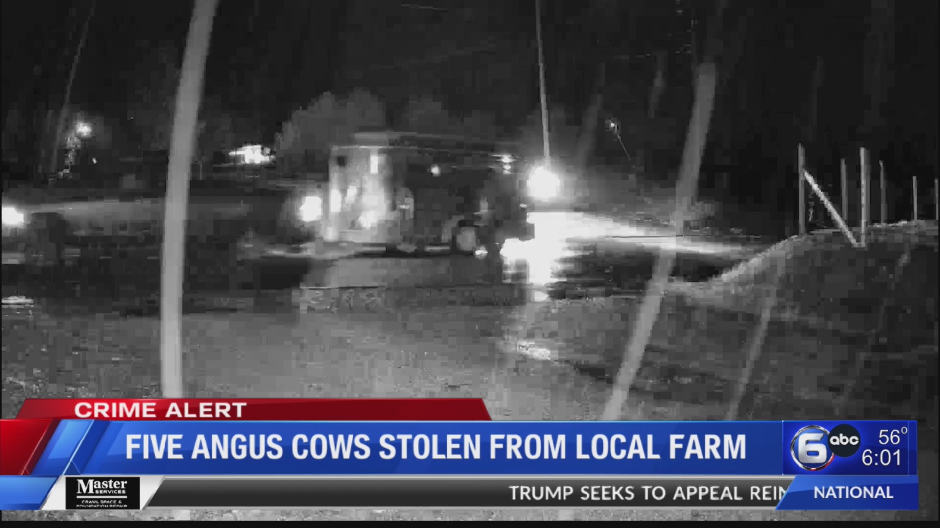 5 Angus cows stolen from McMinn County farm – WATE 6 On Your Side