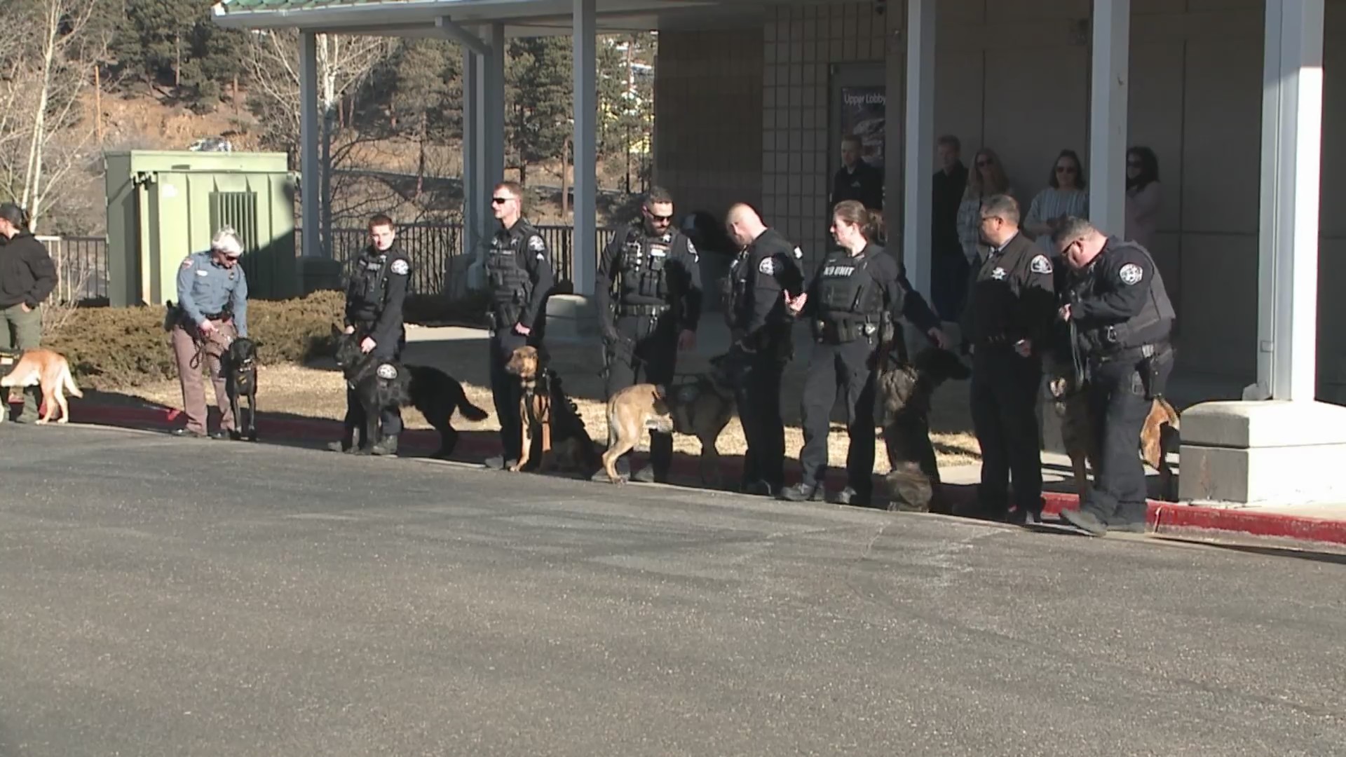 Memorial service held for K-9 killed in line of duty – FOX31 Denver