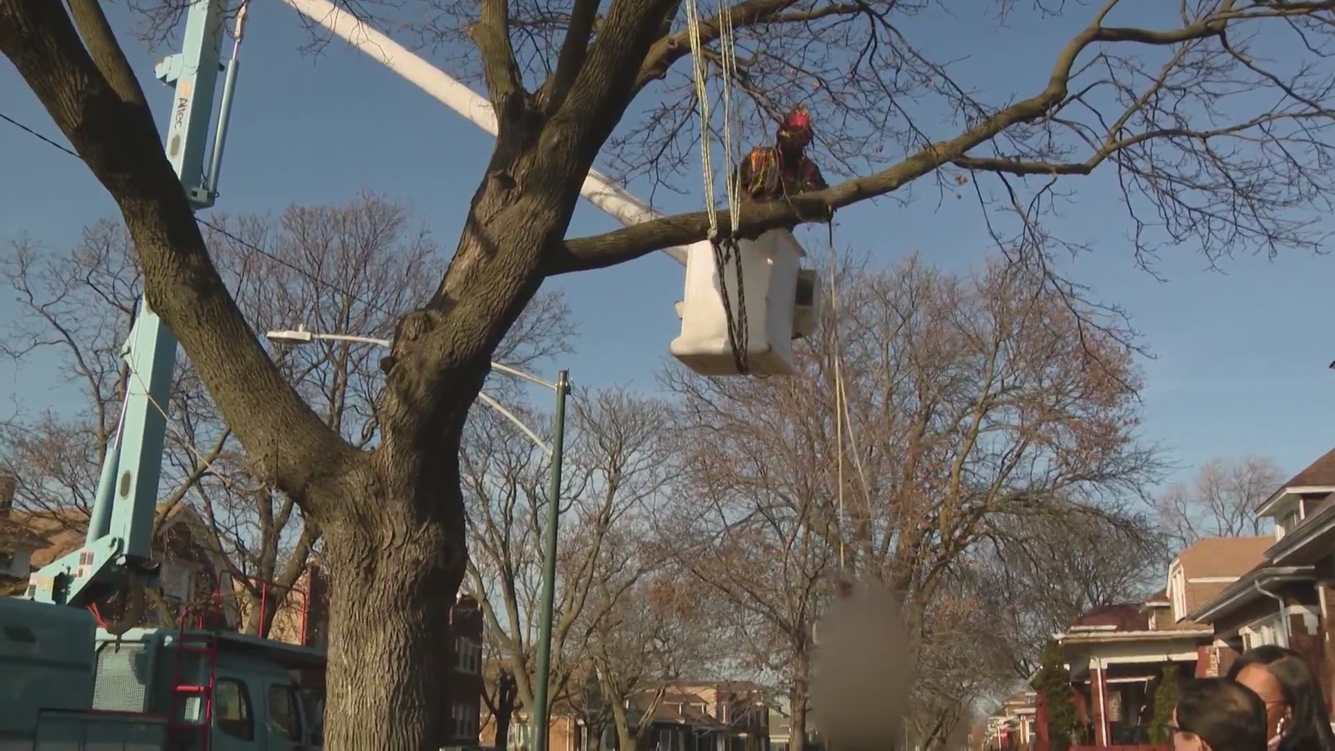 City forestry crews remove noose from tree in front of Gage Park home ...