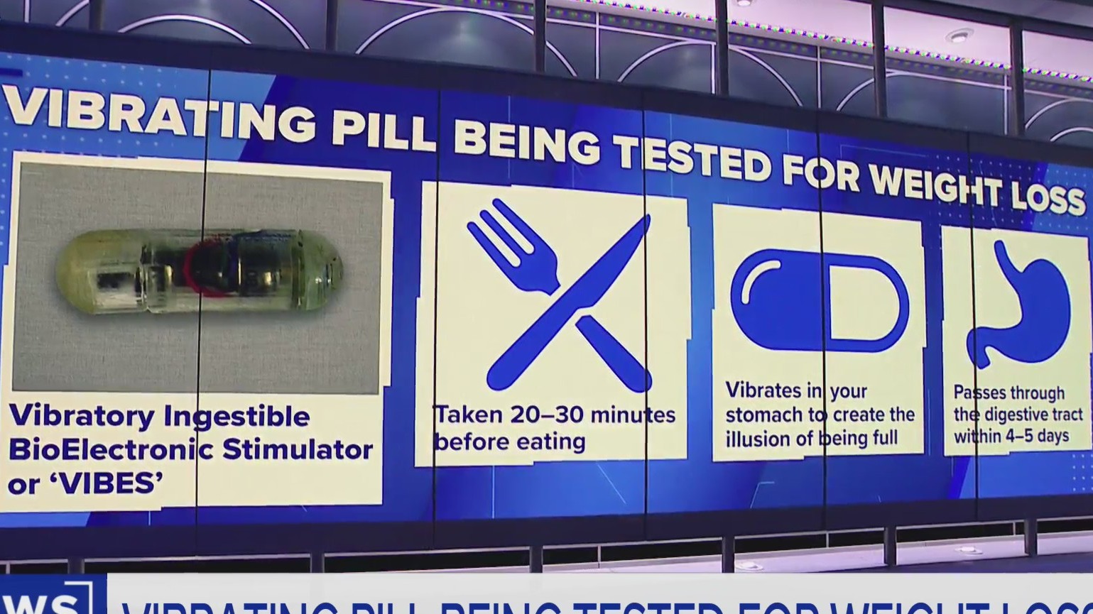 Study: Pill leads pigs to reduce food intake by 40% | NewsNation Prime ...