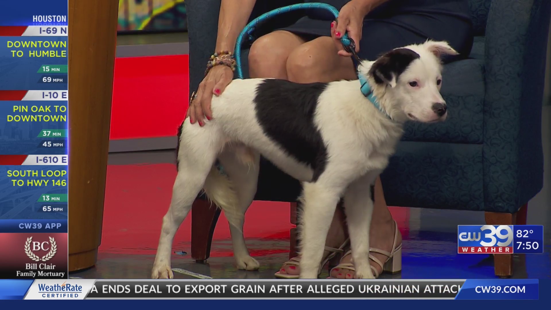 CW39 Sharron Melton talks with “Barrio Dogs” and how this Houston East ...