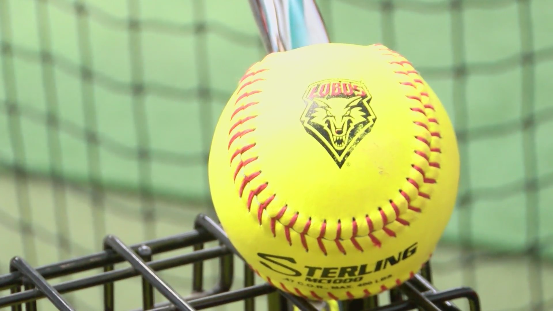 Lobo softball to focus on mental game in 2023 – KRQE NEWS 13 – Breaking ...