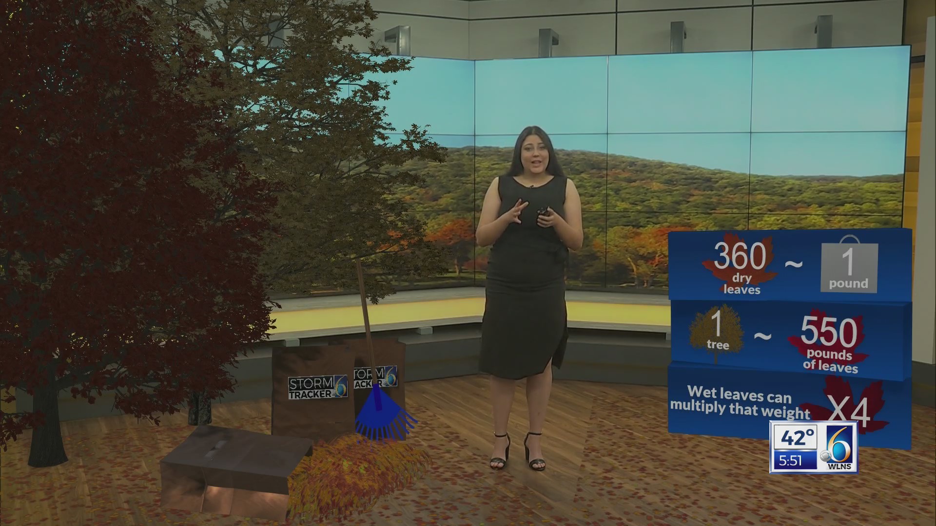 Weather Wednesday: Cleaning up fall foliage – WLNS 6 News