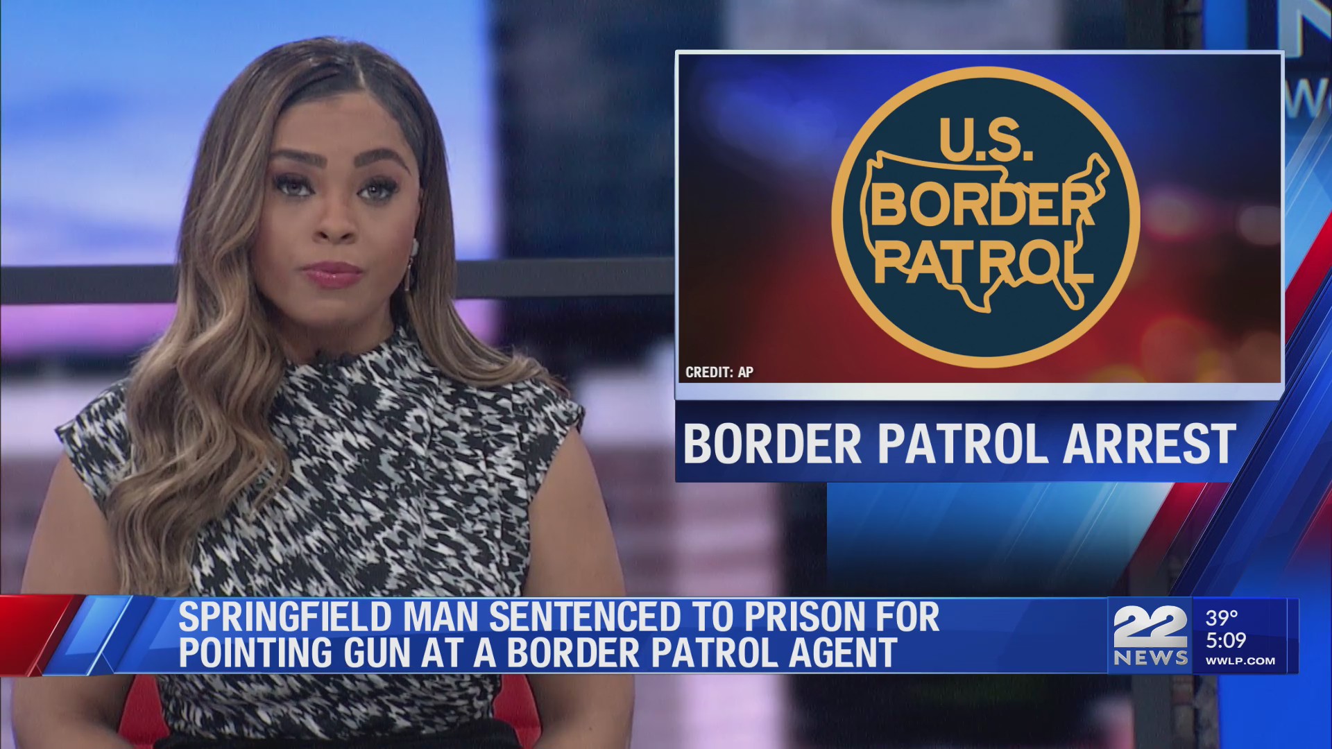 Springfield man pleads guilty to pointing firearm at Border Patrol ...