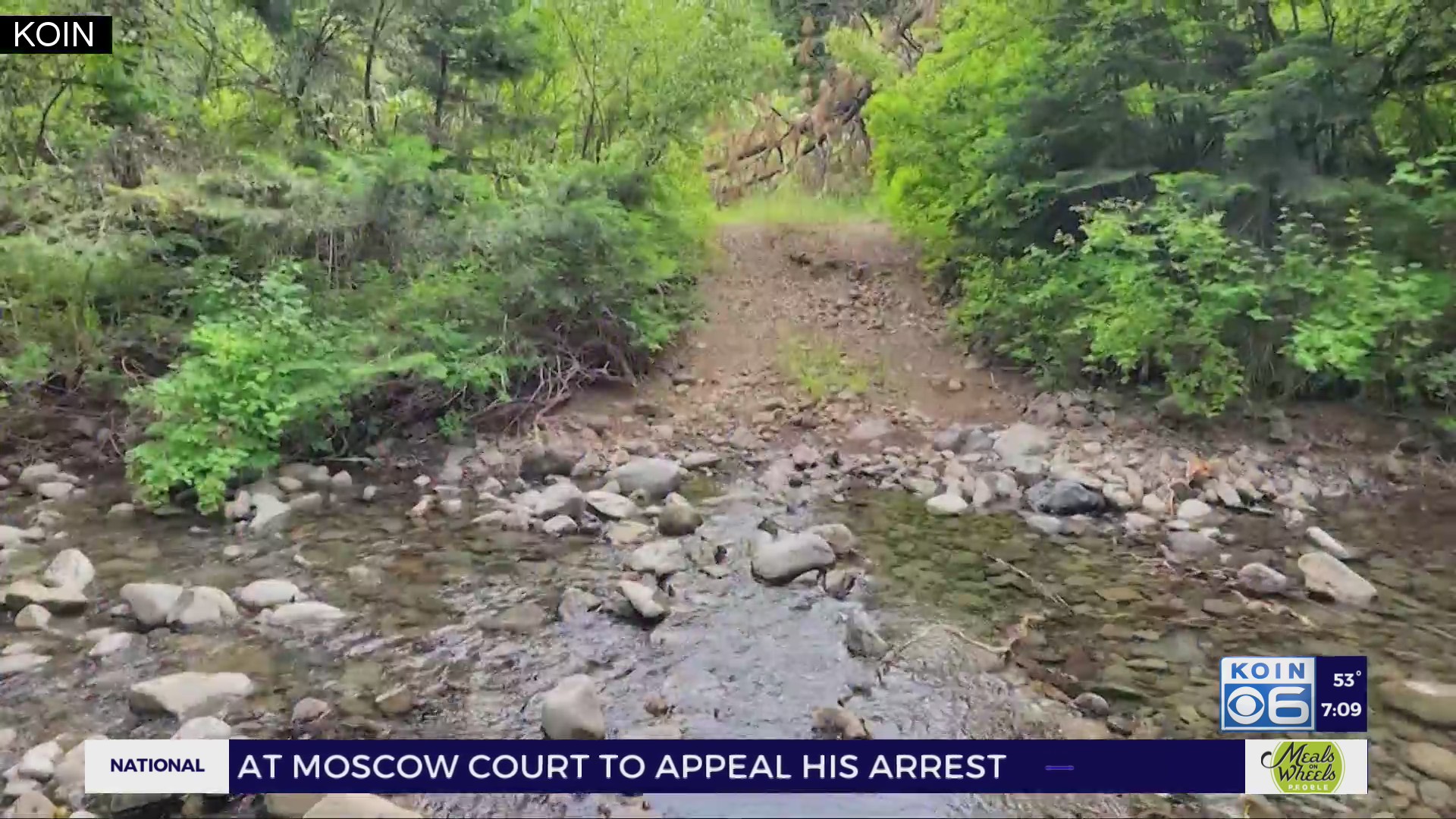 True Crime Tuesday: The undiscovered identity of the Finley Creek Jane ...