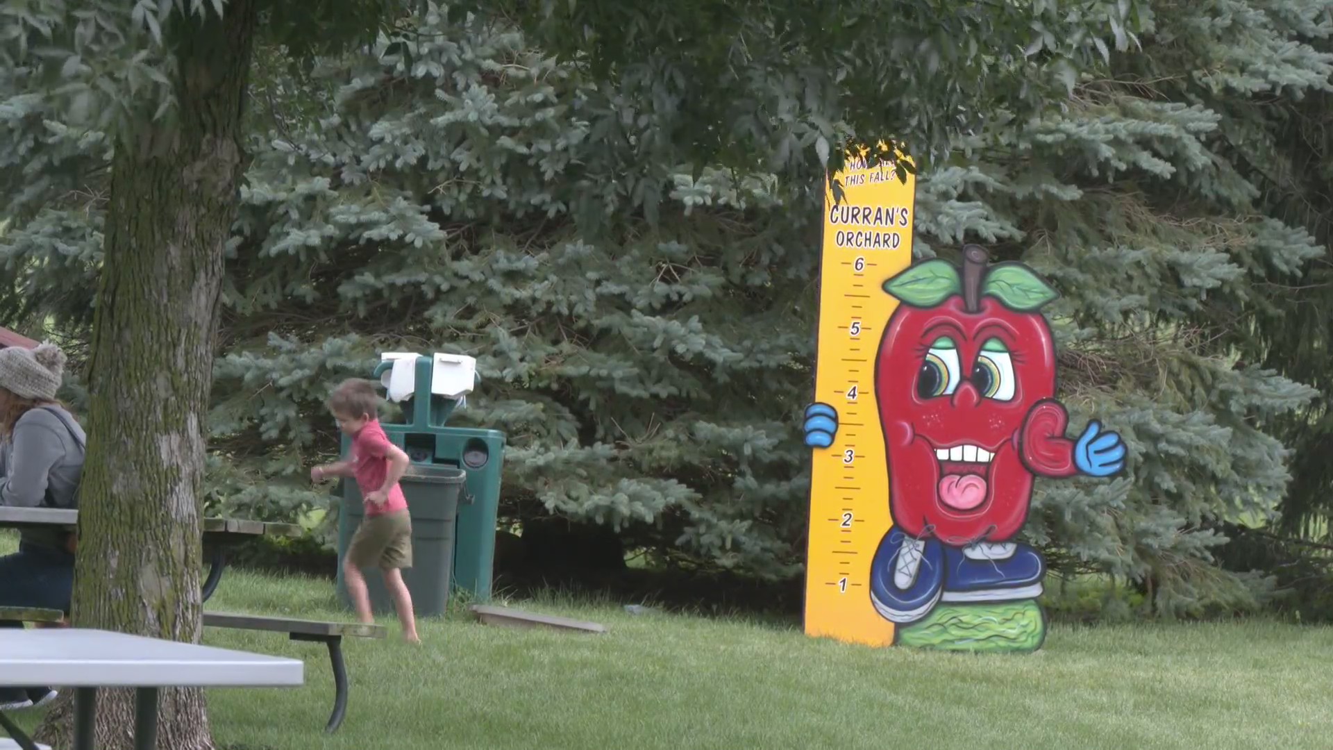 Curran’s Orchard apple cider wins gold at 2024 Illinois Cider Contest ...