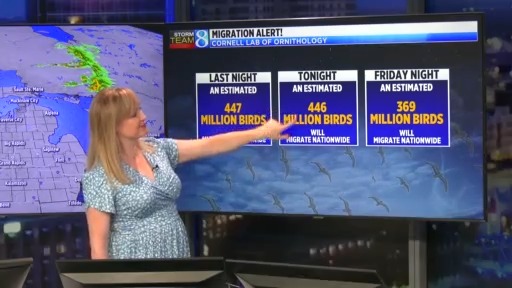 How to help the mass bird migration in Michigan tonight – WOODTV.com