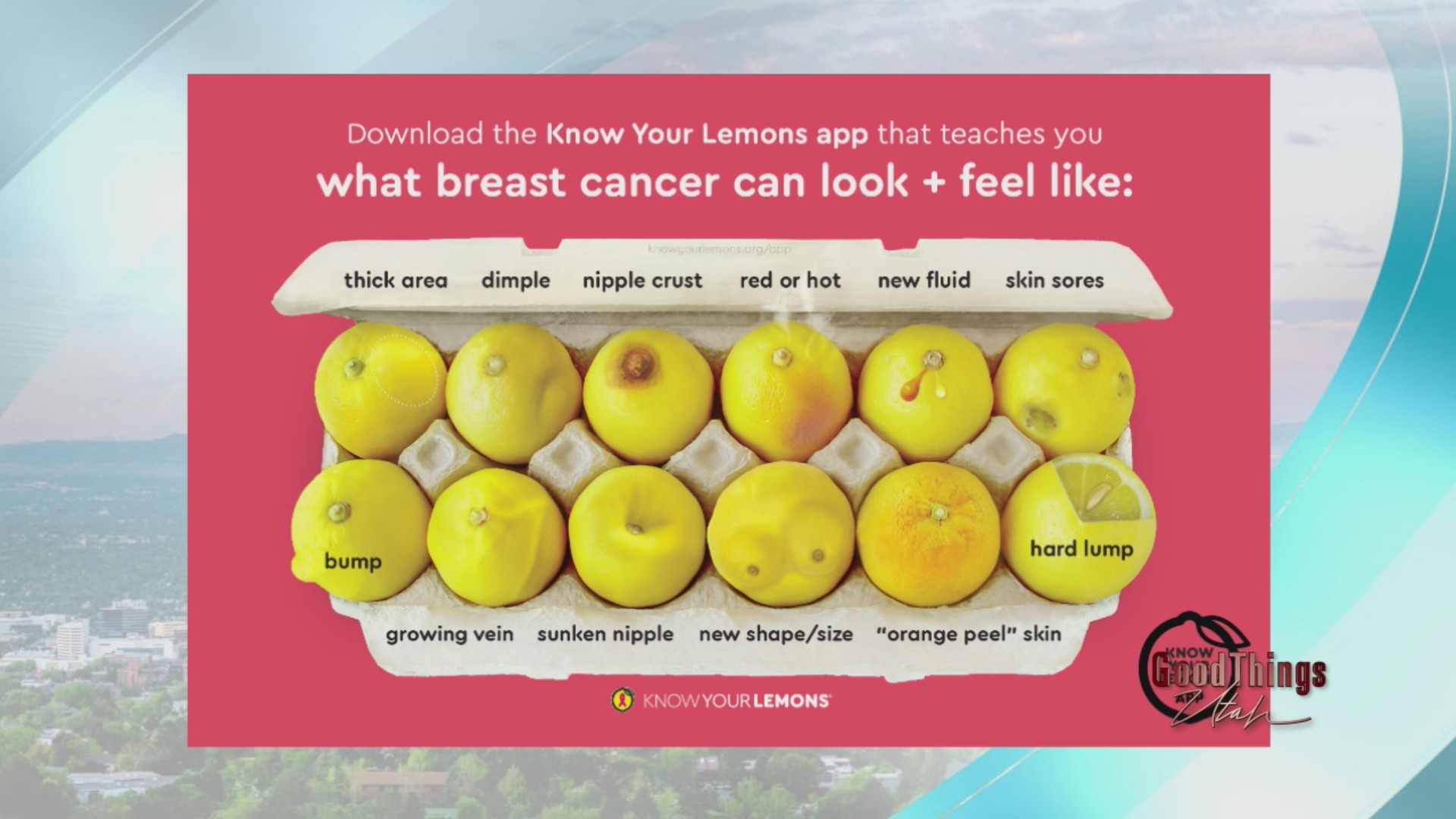 Know Your Lemons – ABC4 Utah