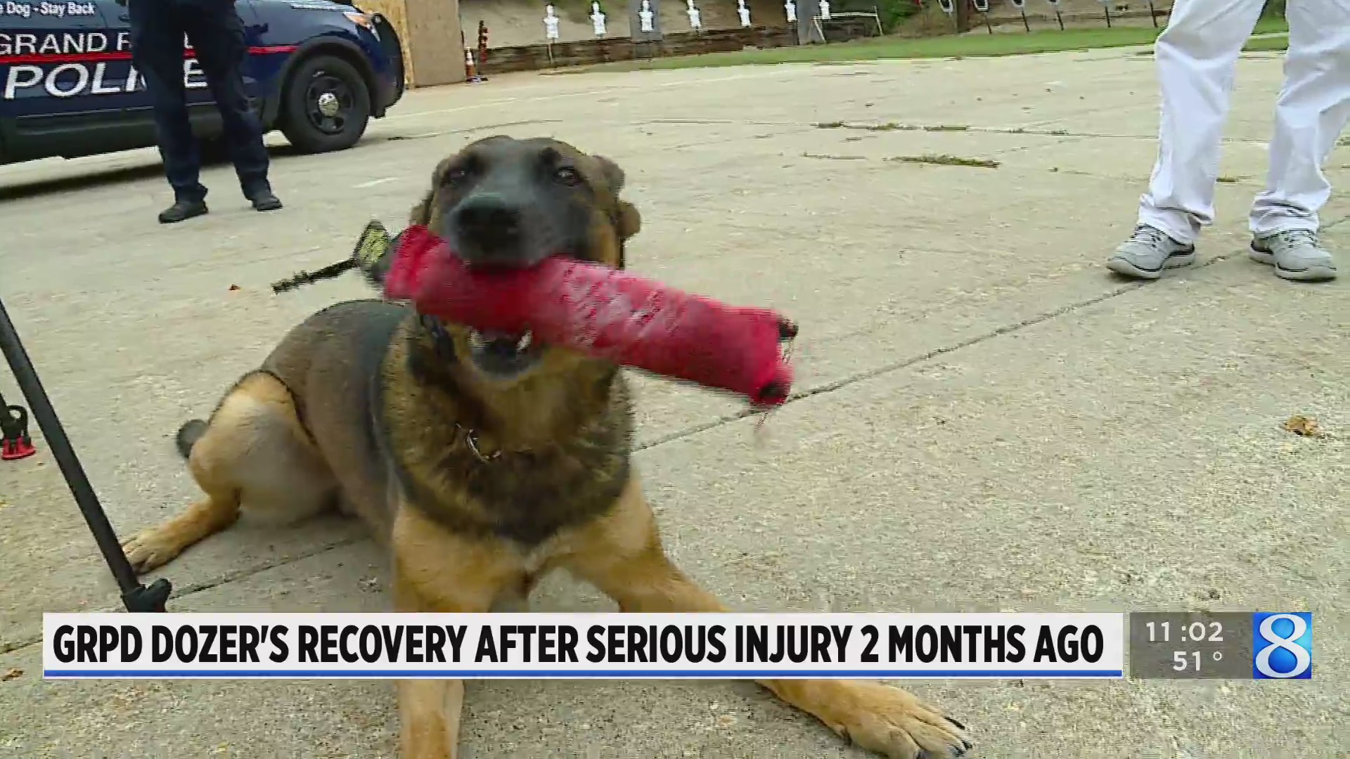 GRPD K-9 ‘doing well’ two months after serious crash – WOODTV.com