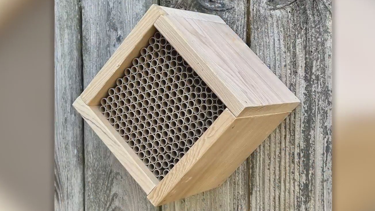 Create with Quimby: DIY Mason Beehive House – KOIN.com