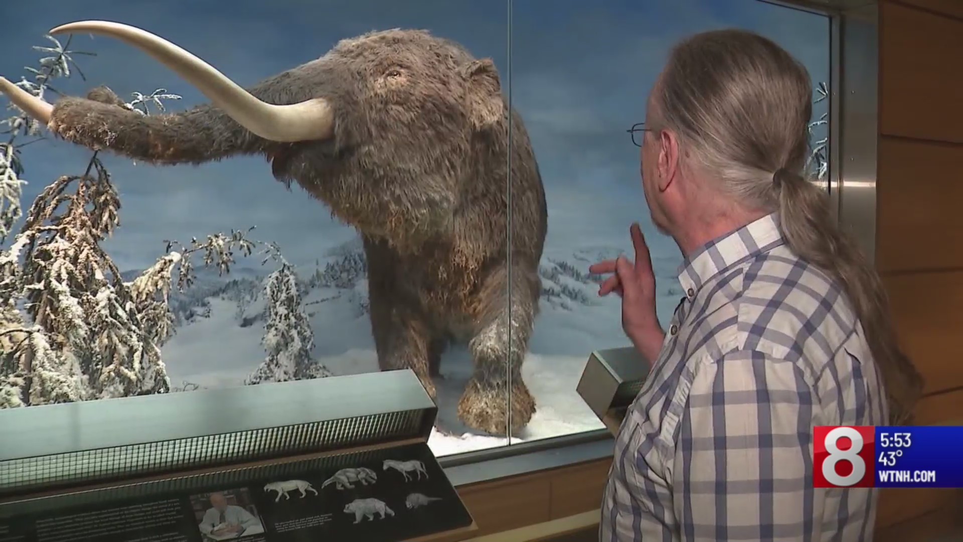 Mashantucket Pequot Museum & Research Center reopens with new features and programs – WTNH.com