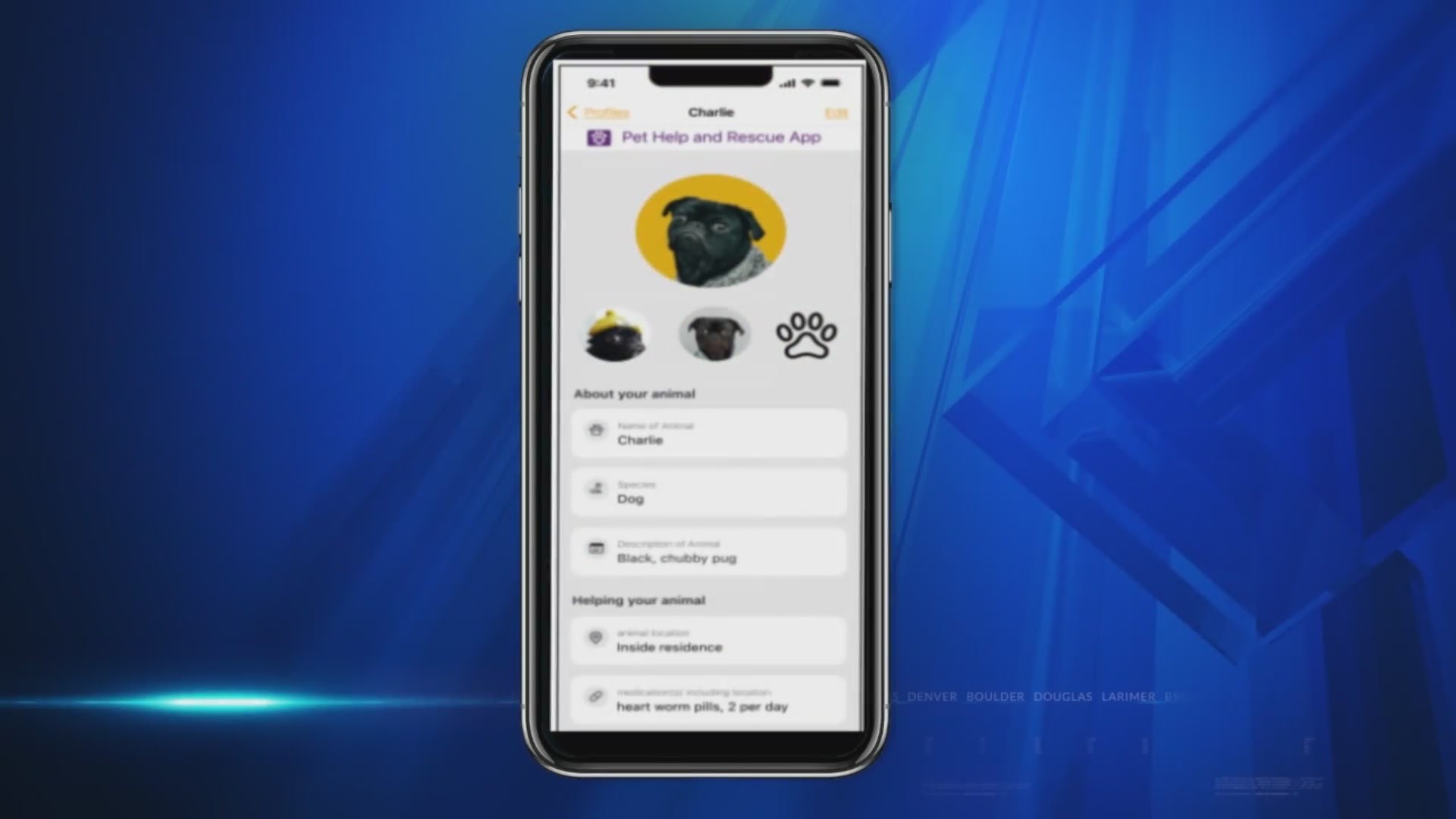 App helps rescue pets from natural disasters – FOX31 Denver