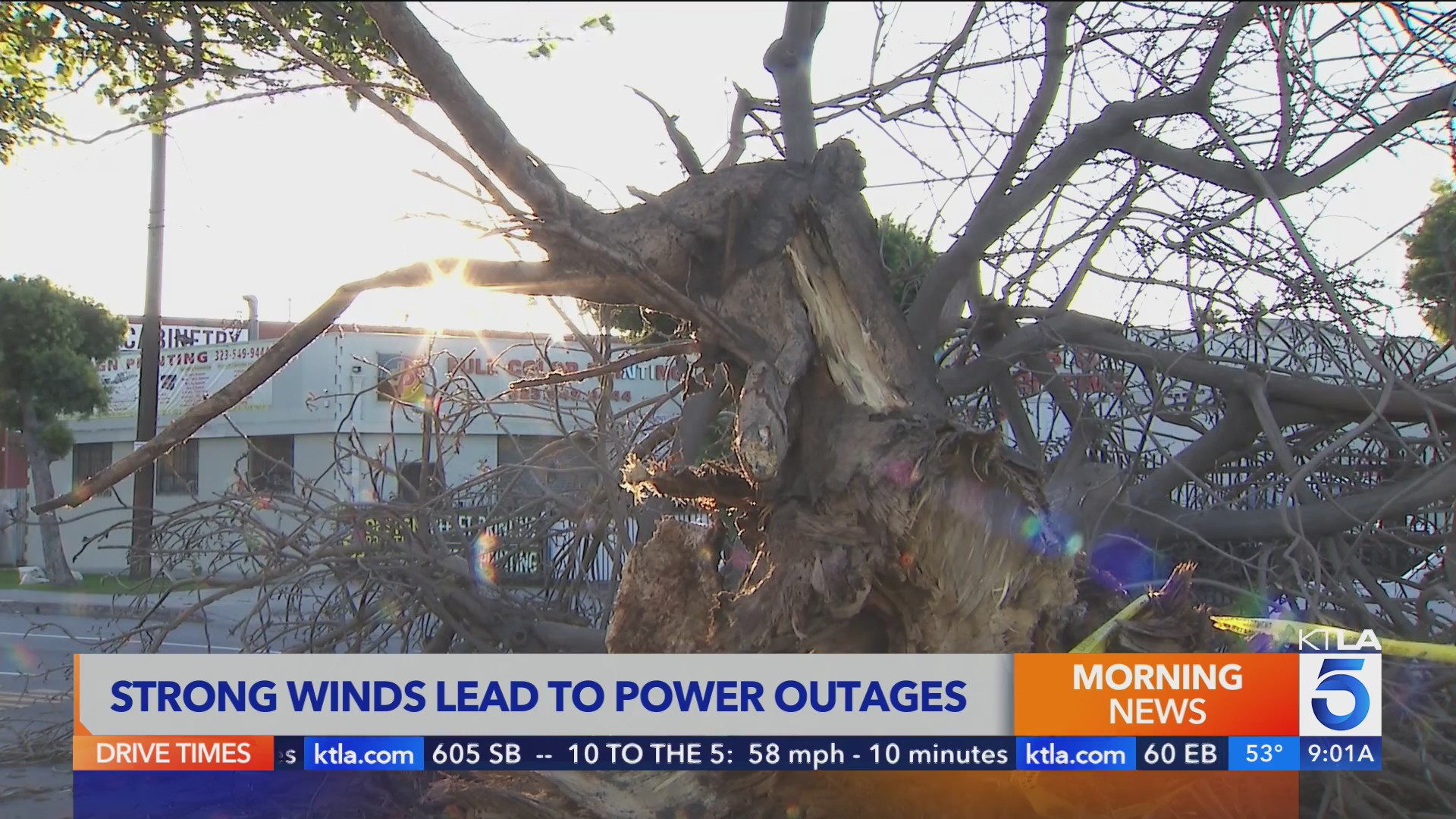 Strong winds knock down tree, cause hundreds of power outages in Mid ...