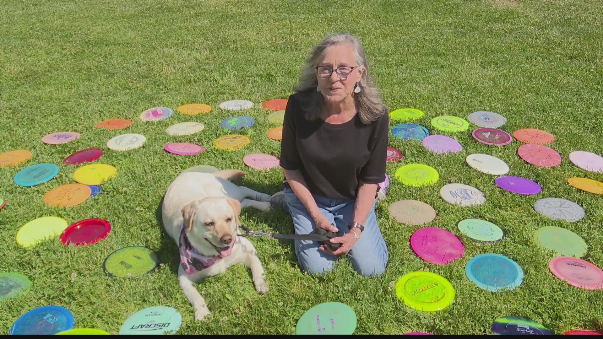 Local dog helps community one lost frisbee golf disc at a time – WTRF