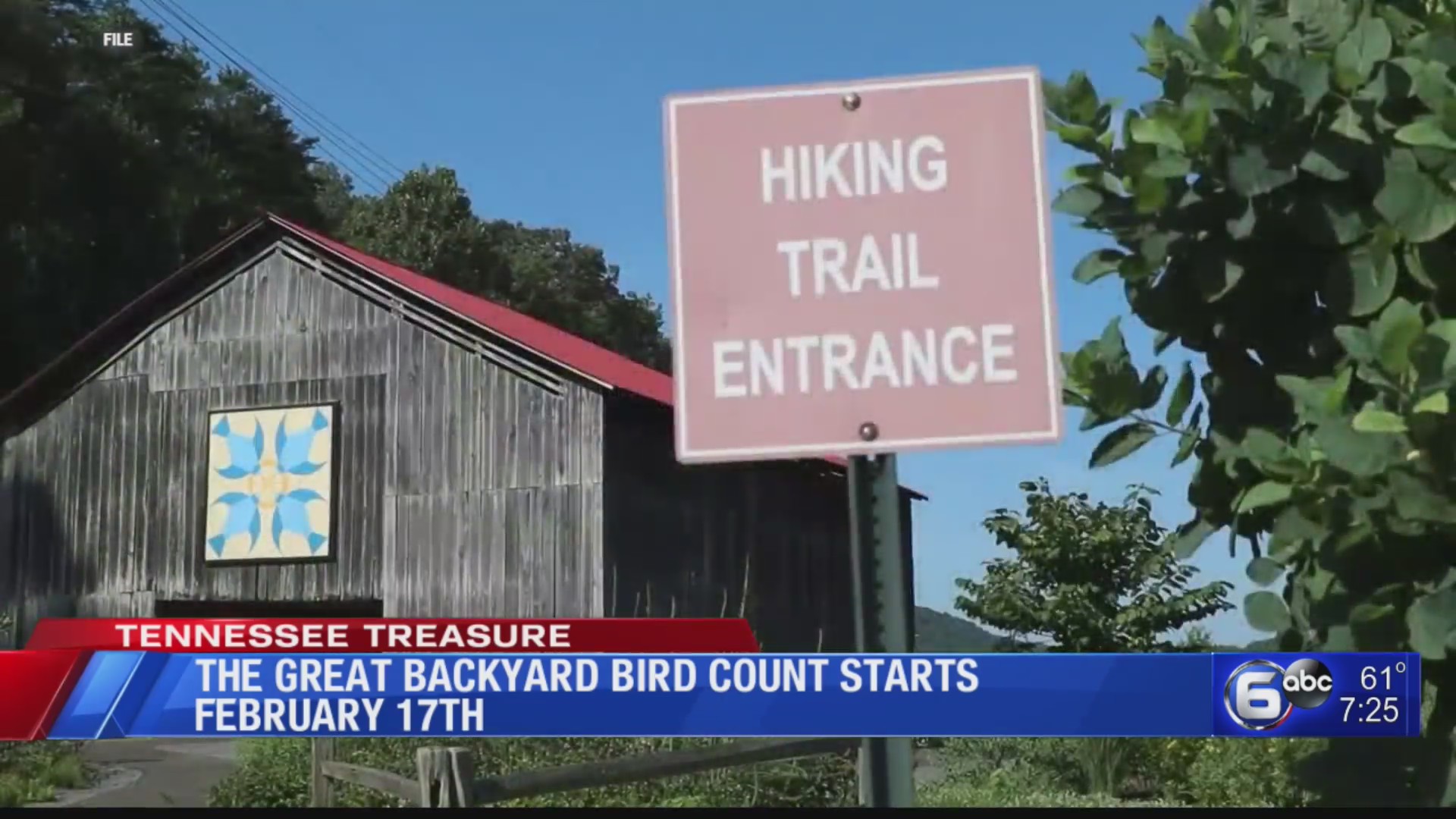 The Great Backyard Bird Count starts February 17 – WATE 6 On Your Side