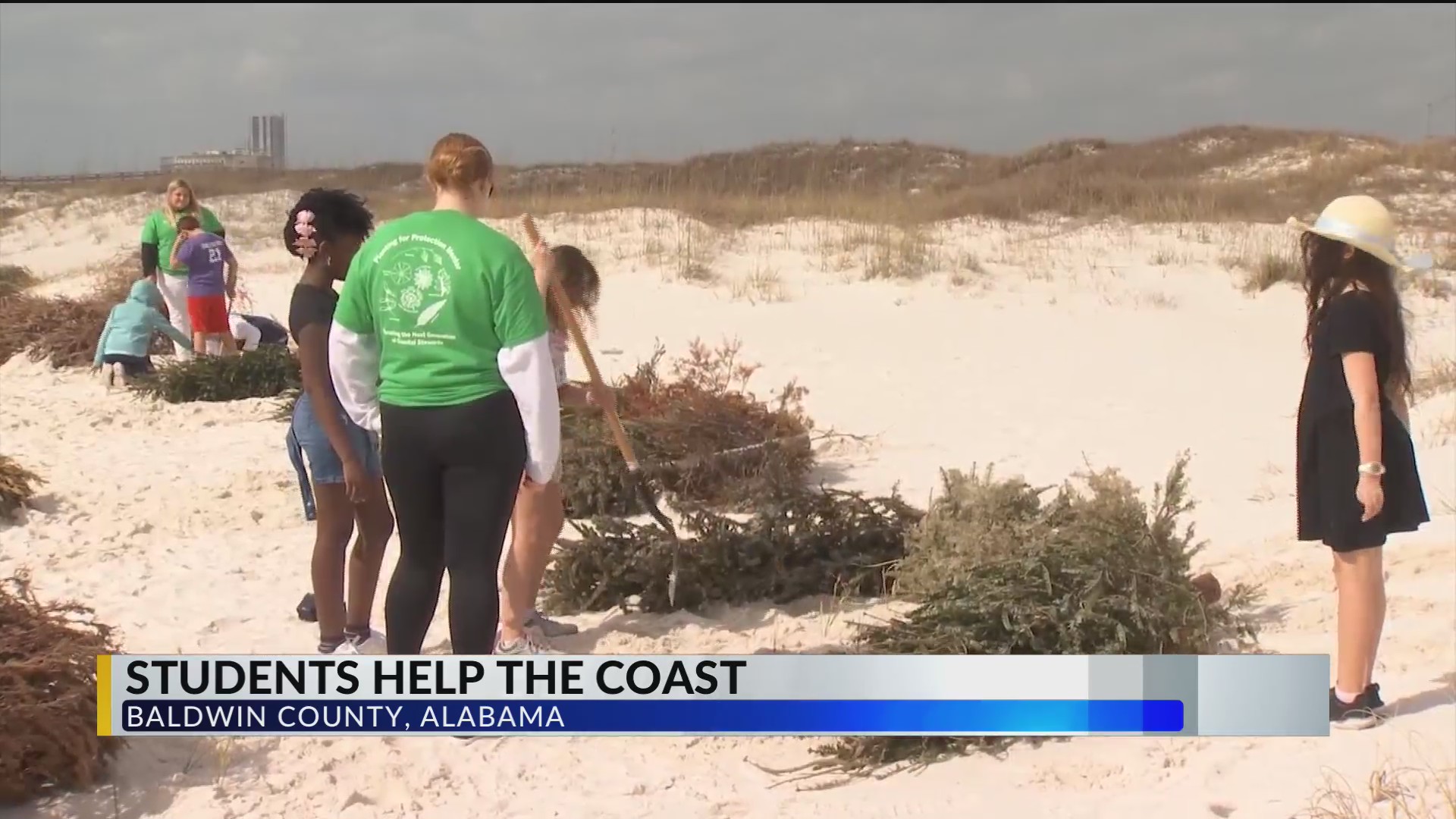 200 Gulf Shores students hit the beach to do good for sand dunes – WKRG ...