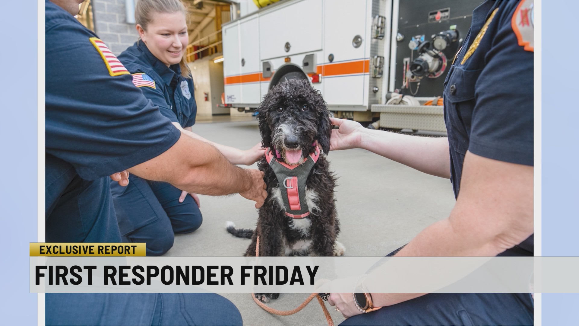 First Responder Friday: Clemson University Fire Department Therapy Dog ...