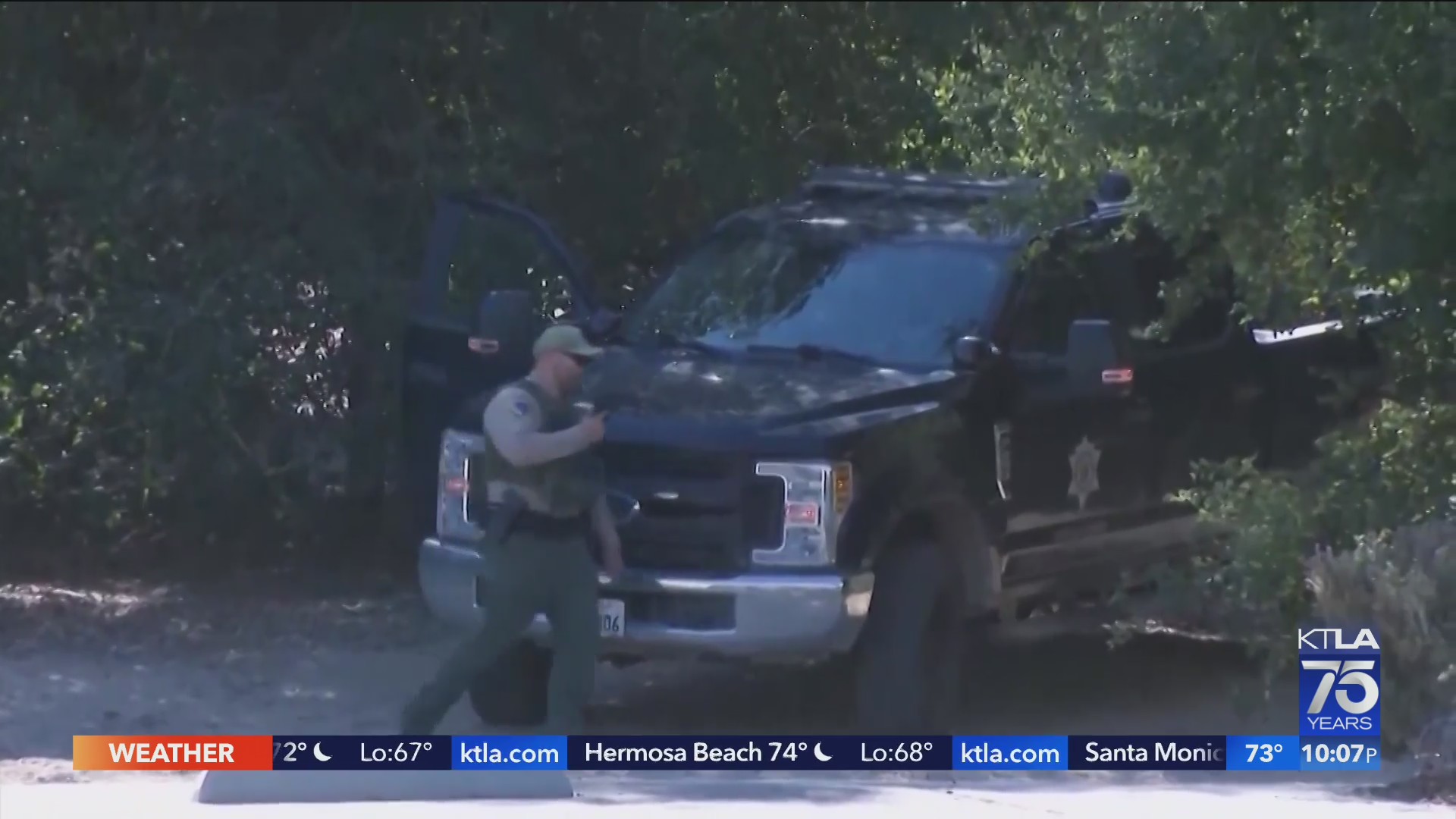 Hunt for mountain lion in Stevenson Ranch continues – KTLA