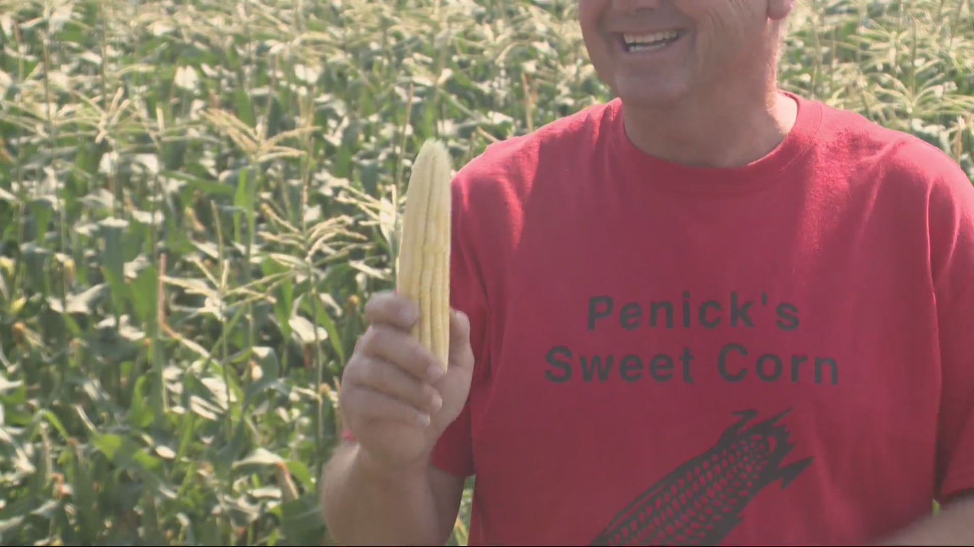 Penick’s Sweet Corn ready for Downtown Farmers’ Market – who13.com