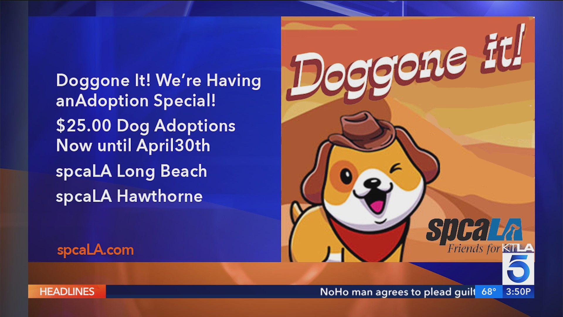 National Pet Day at spcaLA – KTLA