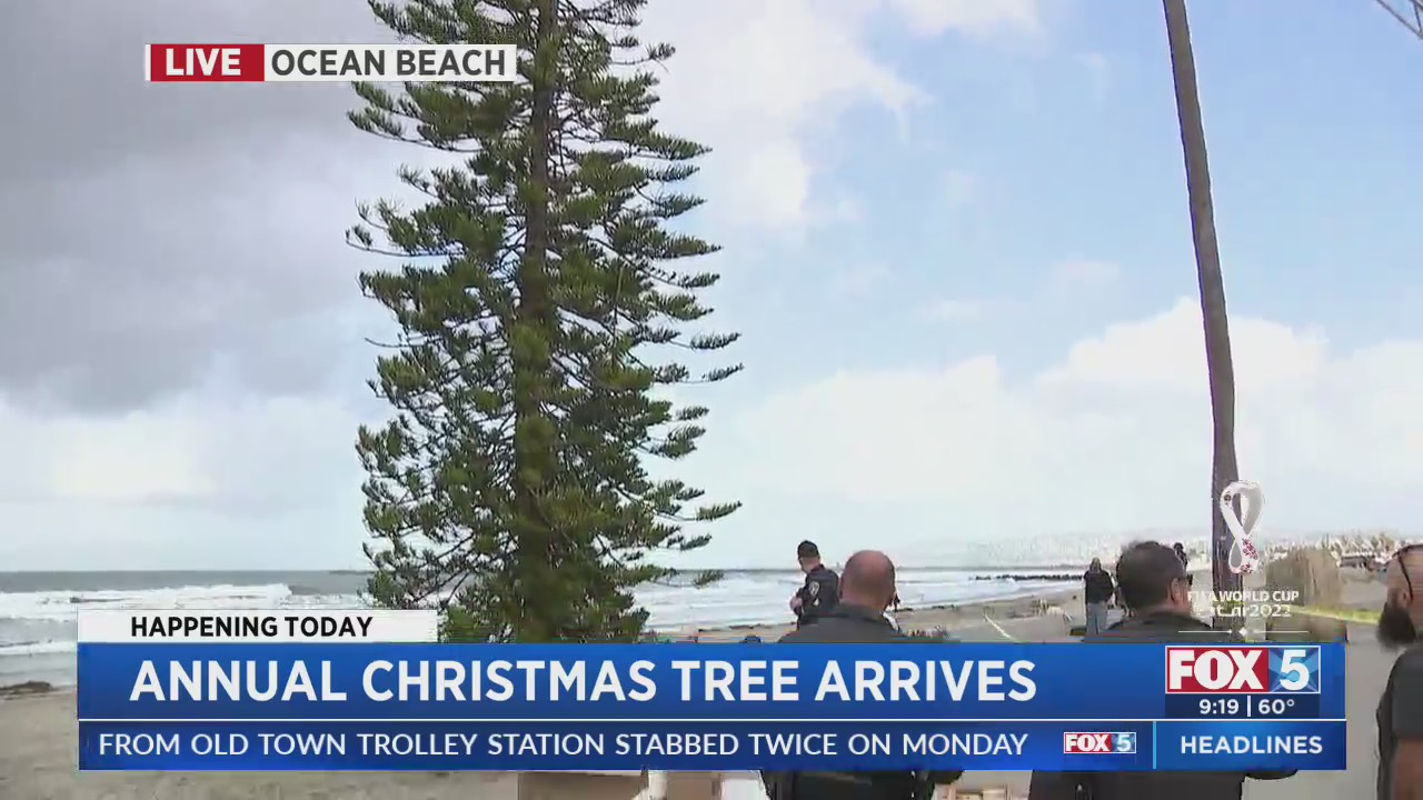 Annual Christmas Tree Arrives in Ocean Beach – FOX 5 San Diego & KUSI News