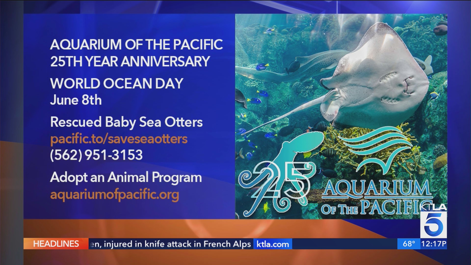 World Oceans Day at the Aquarium of the Pacific – KTLA