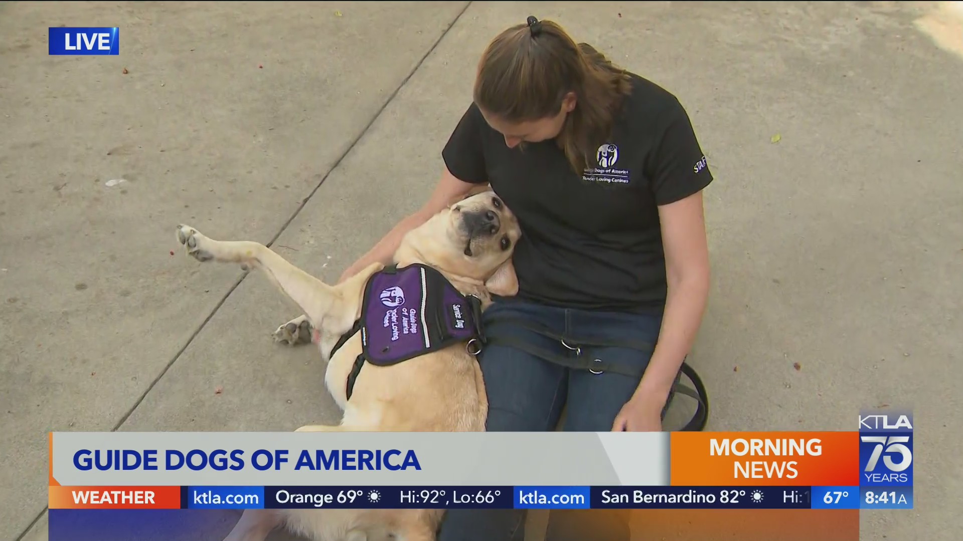 Guide Dogs of America – KTLA