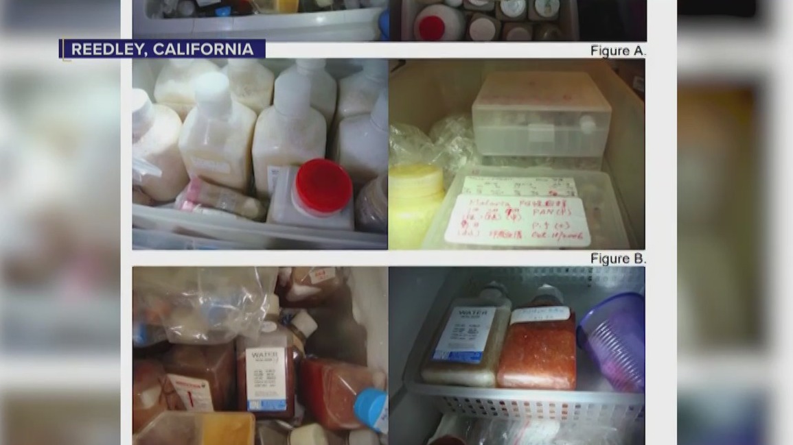 Councilman: ‘People have a right to know’ about illegal lab in ...