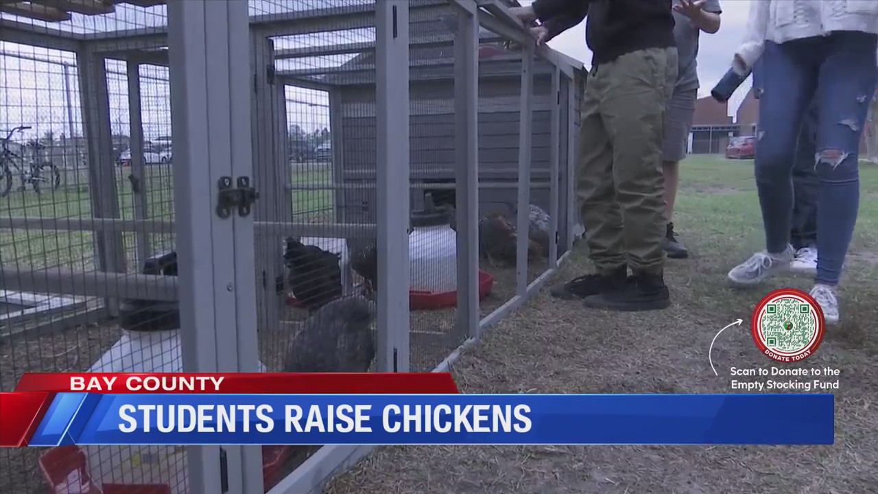 Merritt Brown students learn about raising chickens – mypanhandle.com